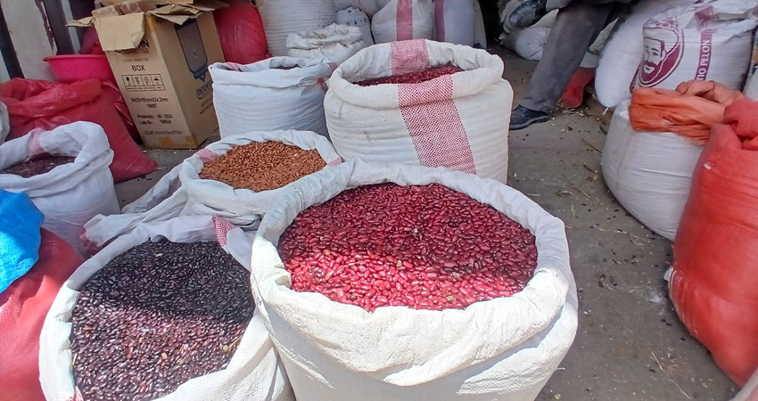 Frijol rojo de la cosecha de primera ya se oferta en mercado esteliano ...